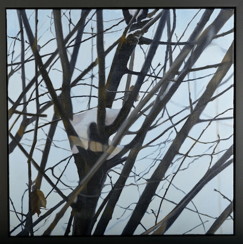 Late Day Reflection; Richard Borowski; 2013; PC-2013-147 | eHive