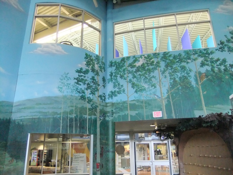 Strathcona's Natural Environment ; Rick Janzen & Bing (Barry) Xu; 2000 ...