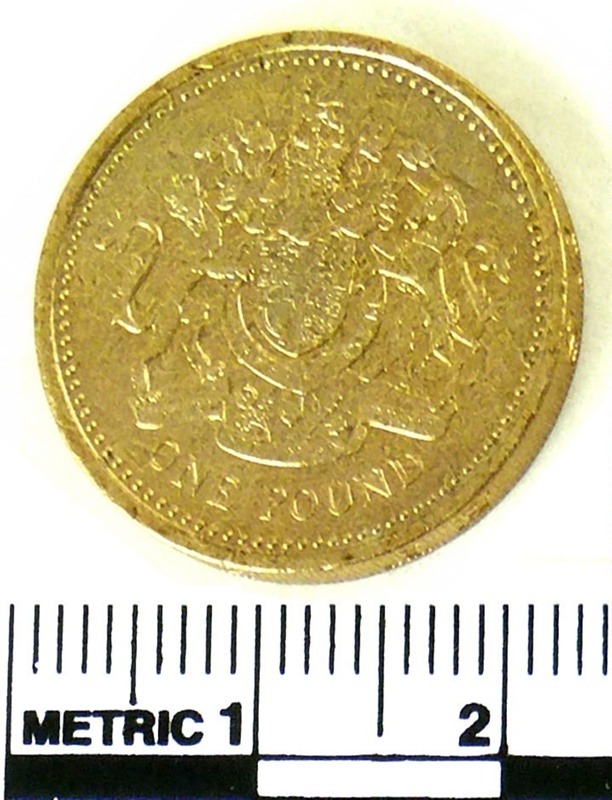 Pound coin of Elizabeth II; 1983; 1983.27.2 | eHive