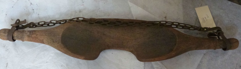 Milkmaid’s yoke; 5866 | eHive