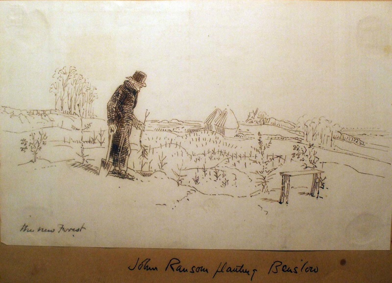 John Ransom drawing; Samuel Lucas senior; 247/185 | eHive
