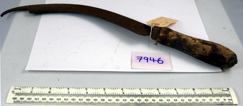 Beet hook; 7946 | eHive