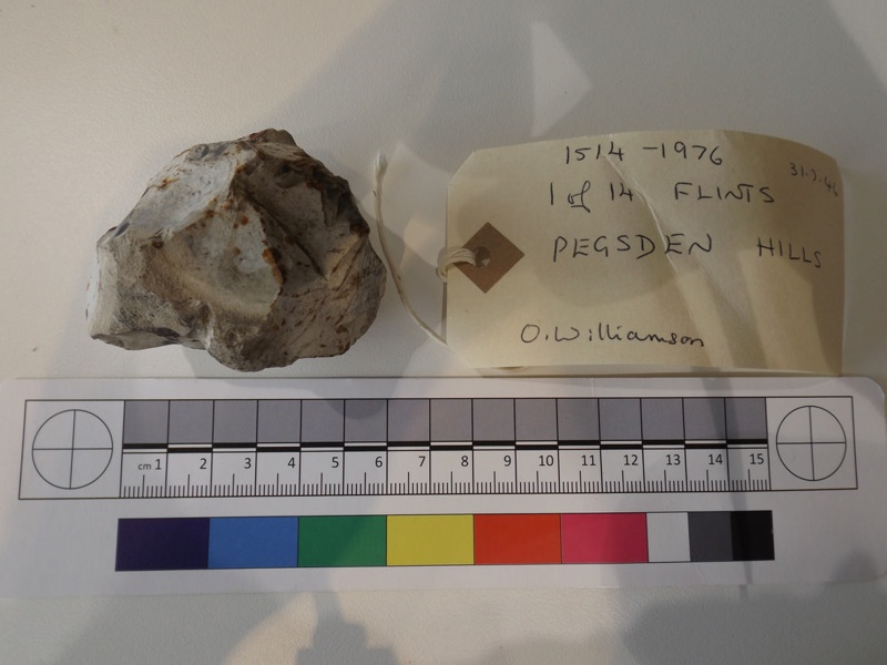 Core re-used as Hammerstone; 1976.1514.14 | eHive