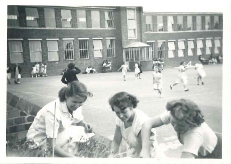 Photo of girls working on school rockery; Velox; 1950s; 2022.73 | eHive