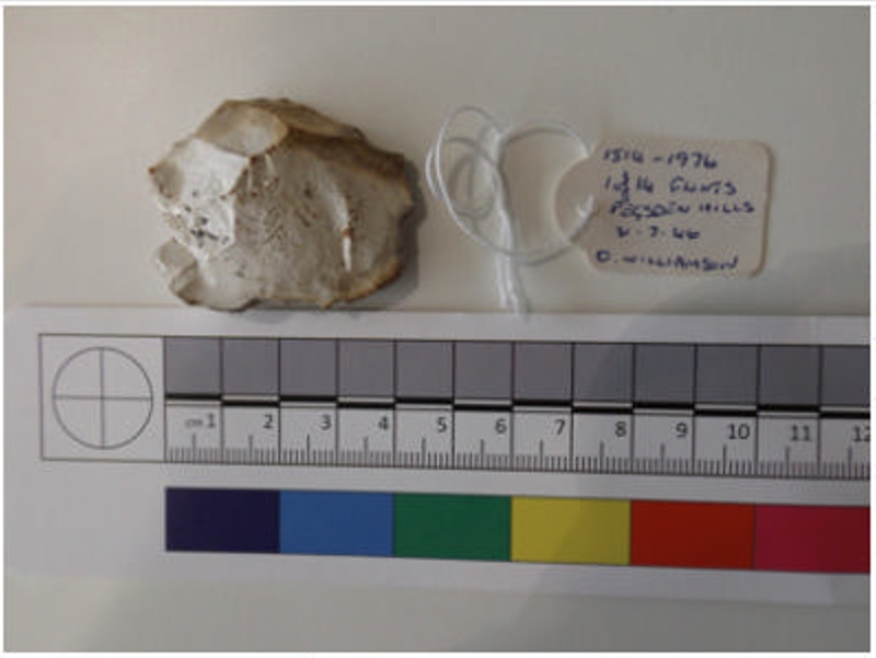 Flint Debitage; 1976.1514.2 | eHive