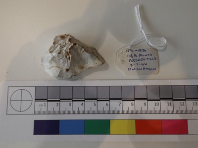 Flint Debitage; 1976.1514.5 | eHive