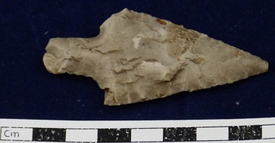 Barbed and tanged arrowhead; 2500-1800 BC; 1976.102 | eHive