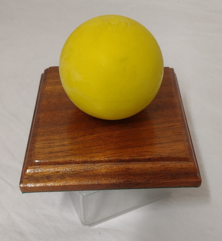 Princess Helena College lacrosse trophy; 2022.199 | eHive