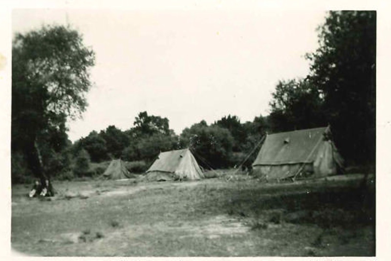 Photo of Cuffley Camp and campers; Velox; 1947; 2022.71.3 | eHive