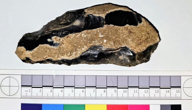 Mousterian side scraper; 150,000-45,000 BC; 1976.982 | eHive