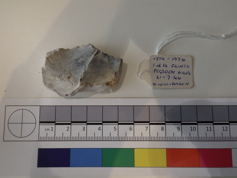 Flint Debitage ; 1976.1514.6 | eHive