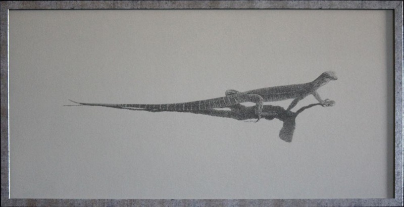Gould's Sand Goanna 1; Haugh, Graeme; 240 | eHive