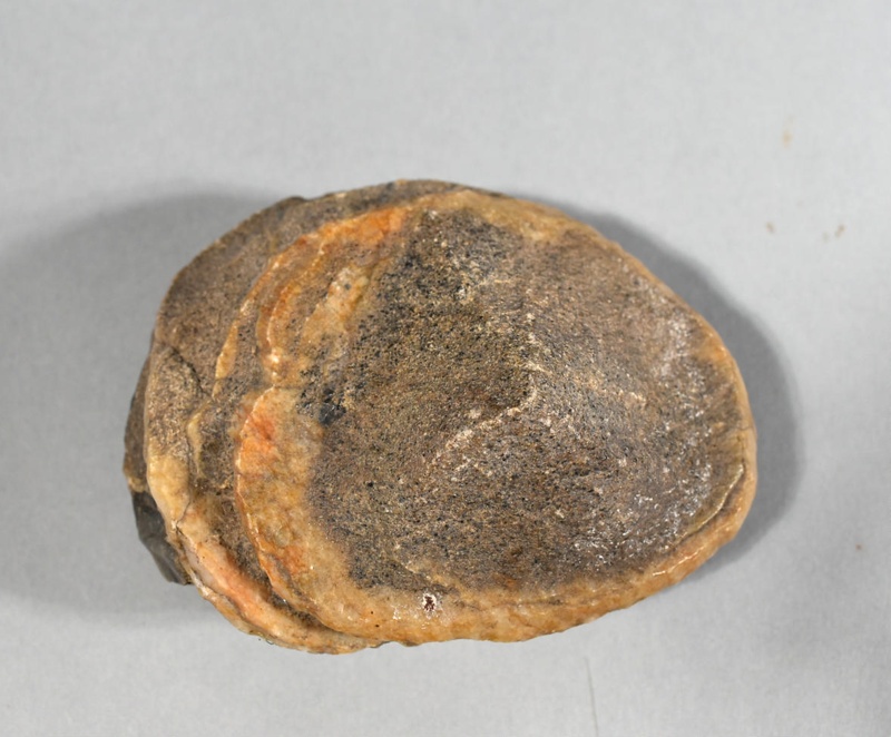 Ventifact rock. ; Specimen, Geological specimen; 2024.4.12 | eHive