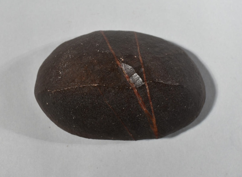 Ventifact rock. ; Specimen, Geological specimen; 2024.4.2 | eHive