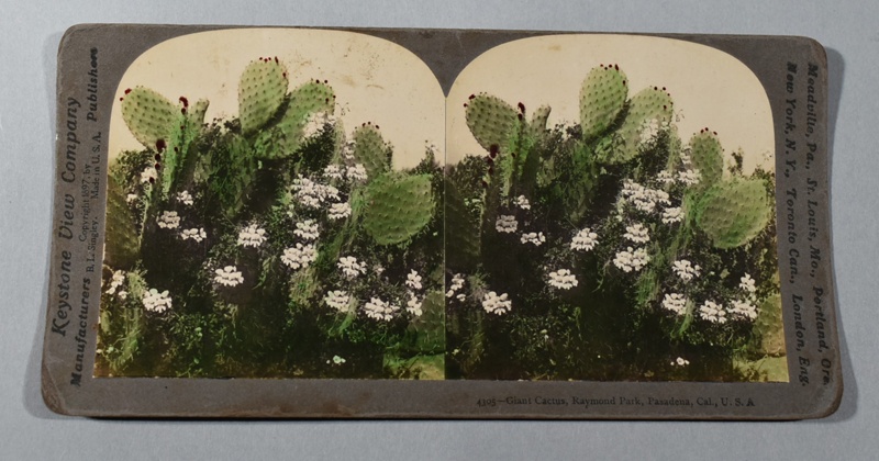 Stereoscope card; Keystone View Company; 1890-1920; 2022.1.210 | eHive