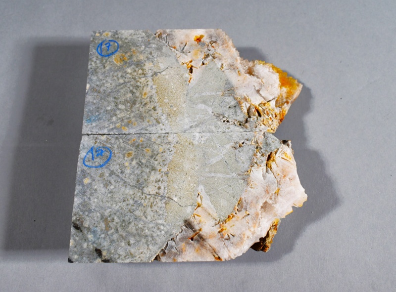 Rock Core Sample ; Specimen, Geological specimen; Martha North and ...
