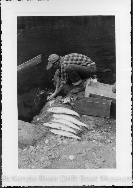 Prince Helfrich with a large catch of fish.; 1940's; McKenzie River ...