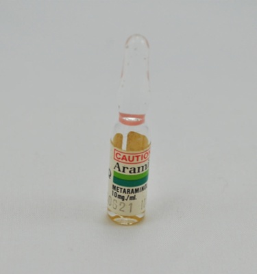 Search object results | eHive