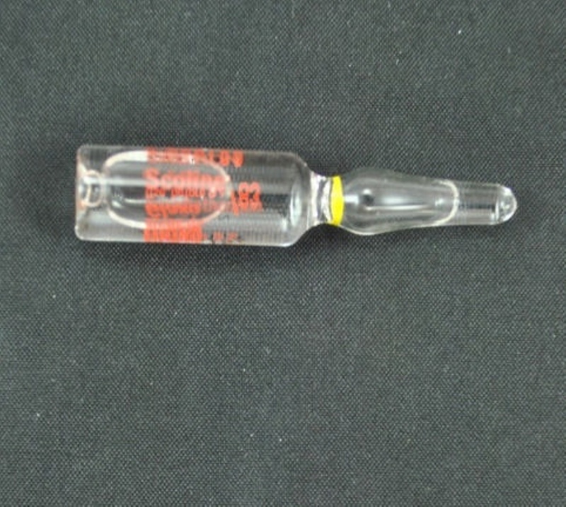 Scoline Ampoule; Glaxo; c. 1960; 1998.140.23 | eHive