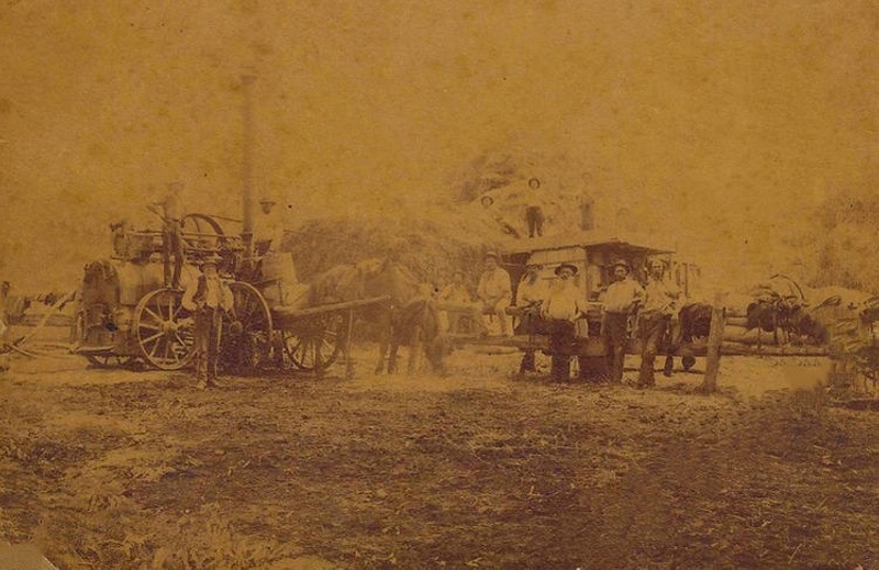 Photograph of John Lee and his working steam engine and thrasher; 1895 ...