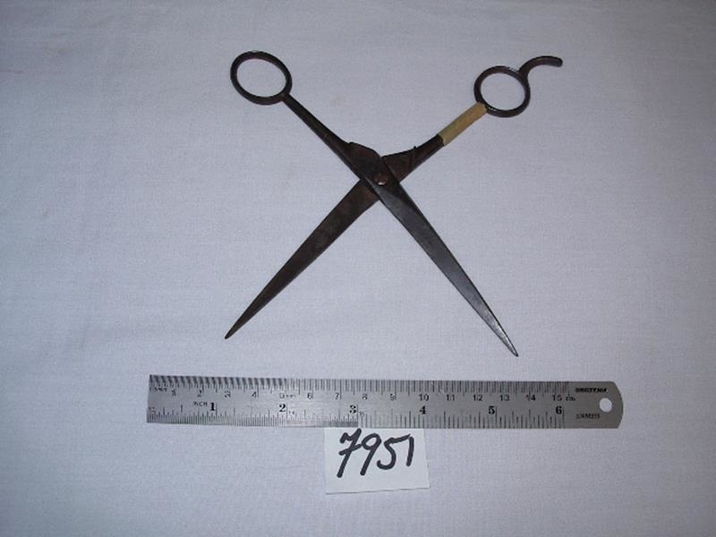 Scissors - Johnson; C. JOHNSON; R07951 | eHive