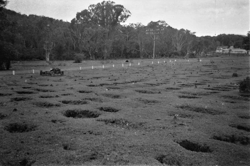 Photograph of Dunwich Cemetery on North Stradbroke Island; ca 1920's ...