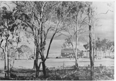 Photograph of Redland Showgrounds at Cleveland, Queensland in 1952 ...