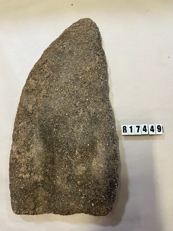 aboriginal object, stone tool, large and flat artefact; R17449 | eHive