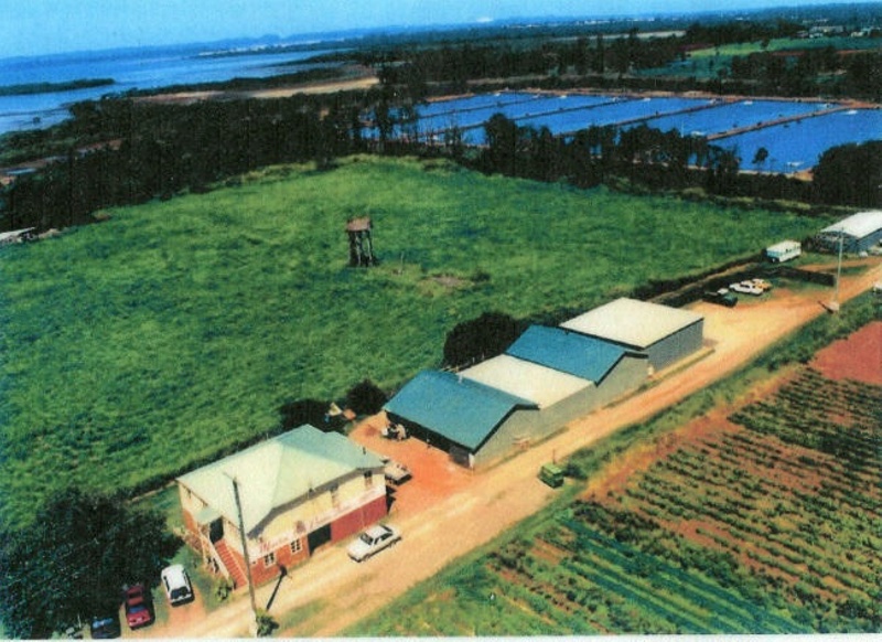 Photograph (Aerial) of the Prawn Farm operation at the end of South ...