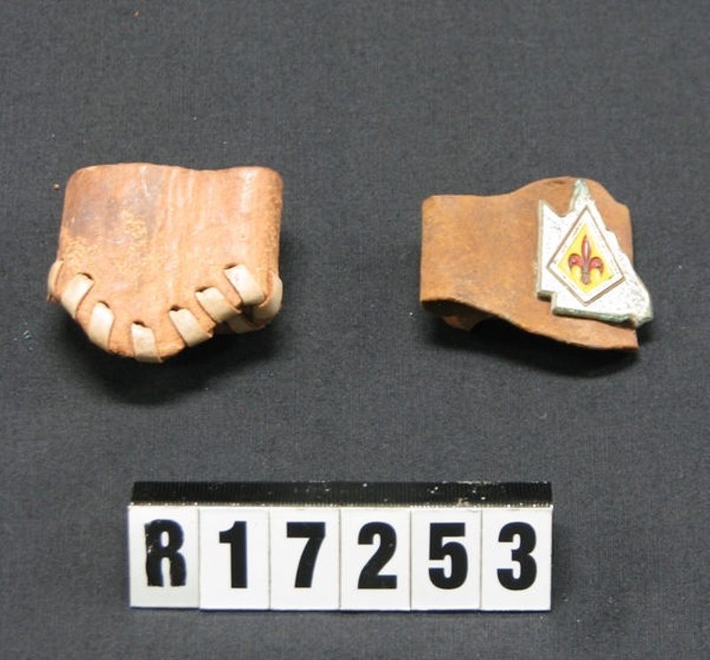 Toggle, Scout; R17253 | eHive