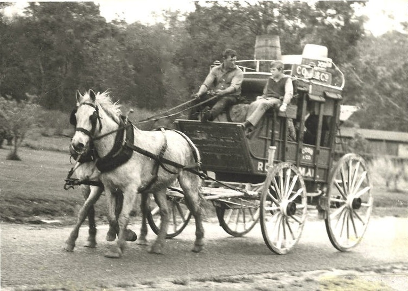 Photographs (3) of Early Modes of Transport - Coach, Dray & Buggy used ...