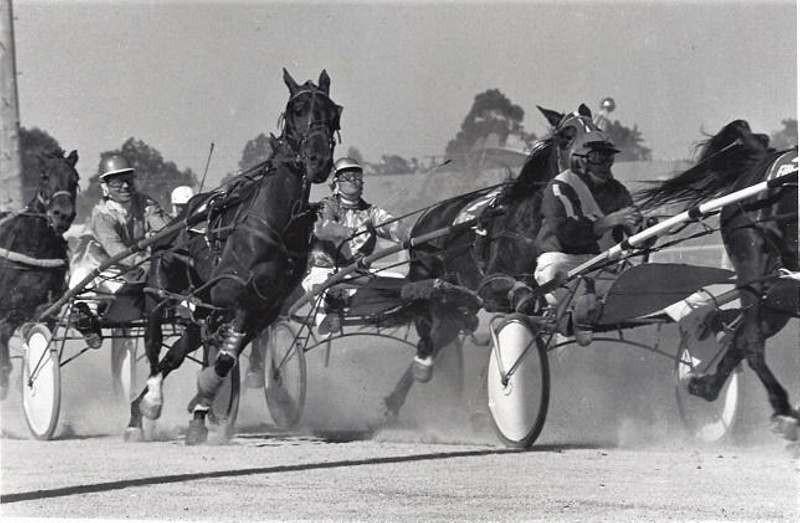 Photograph of Harness Racing at the Redland Show; Bayside Bulletin ...