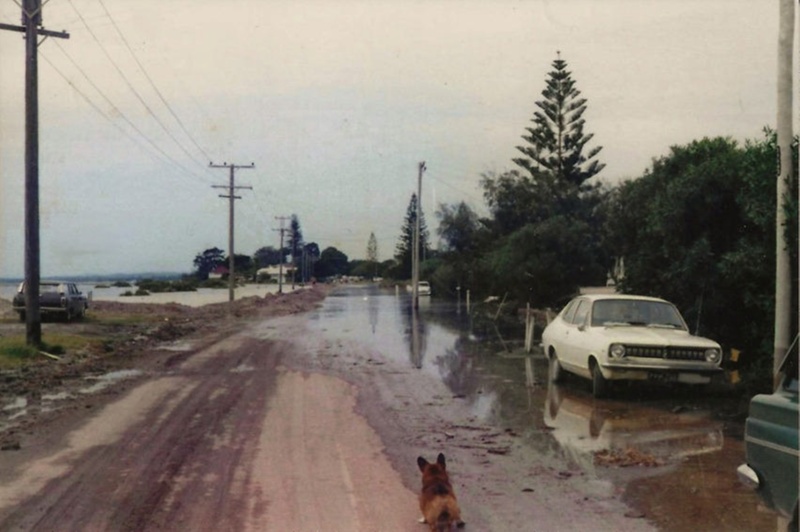 Photographs x 3 of flooding at Cleveland Point; 01/1974; P01597 | eHive