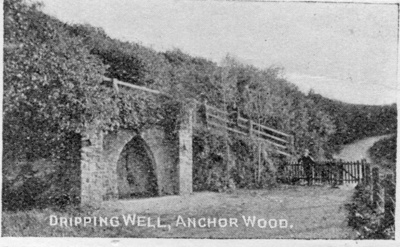 Dripping Well, Barnstaple; The Photocrom Co Ltd; 343 | eHive