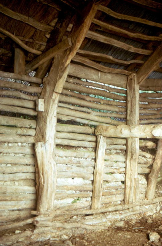 Cruck Construction barn; Thomas E. Spencer; 2557 | eHive