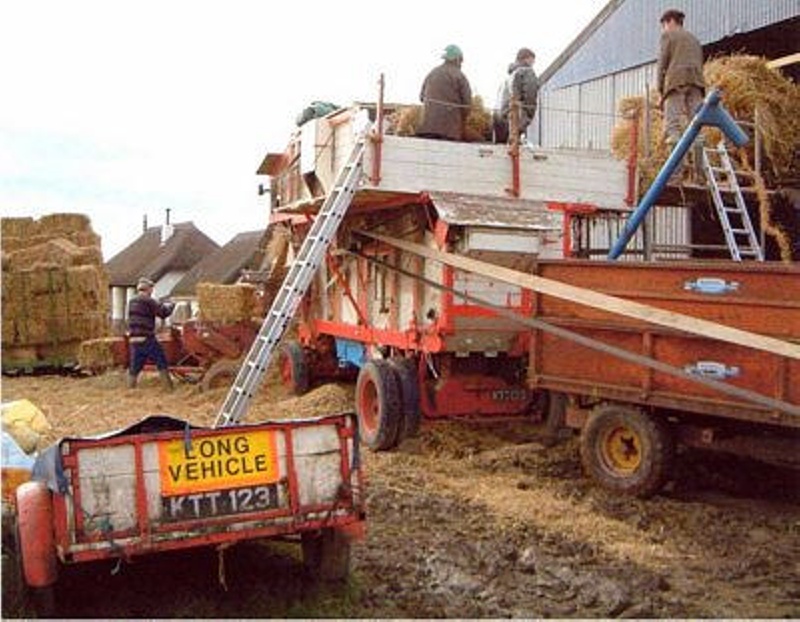 Reed comber; 19-11236 | eHive