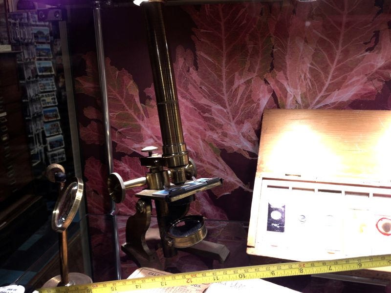 Microscope and glass, whole stored in glass dome. 1860.; 1860; ilfcm ...