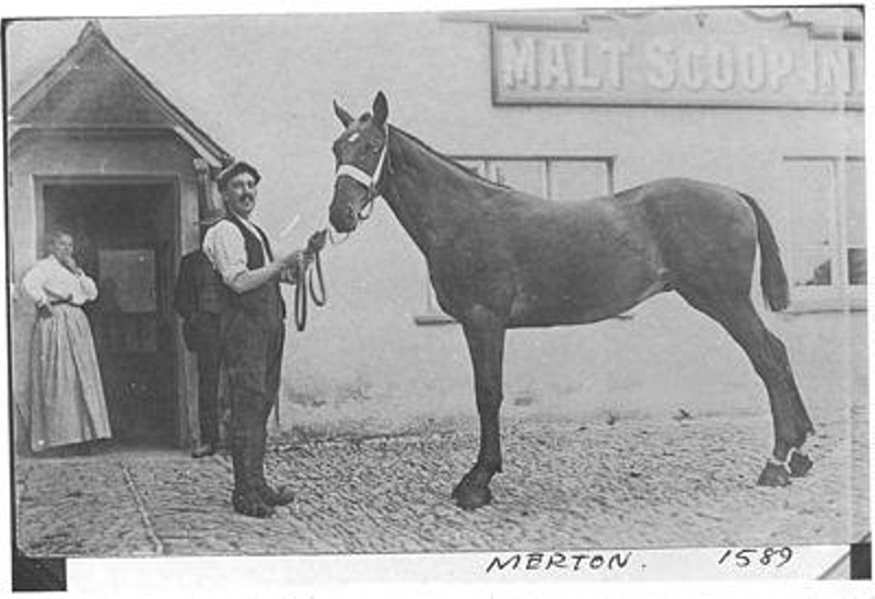 Fred Stapleton & Mrs Blight; 17-1031 | eHive