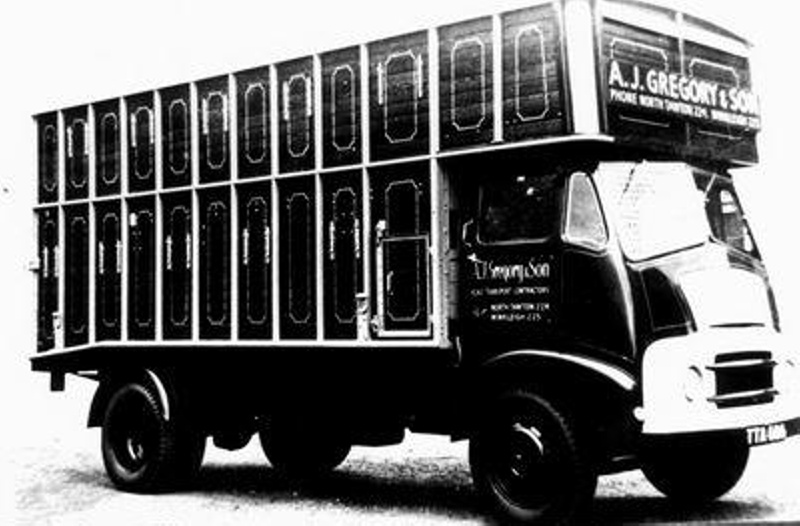 Gregory's cattle lorry, c 1964; 1964; 318 | eHive