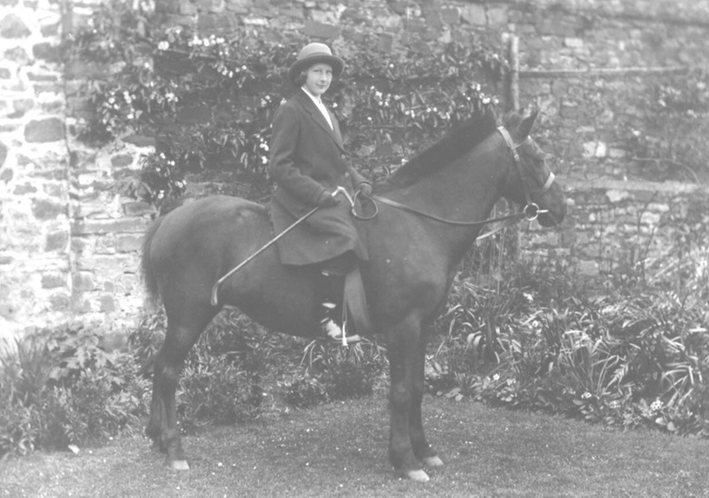 Lady Anne Palmer; 1920; 784 | eHive