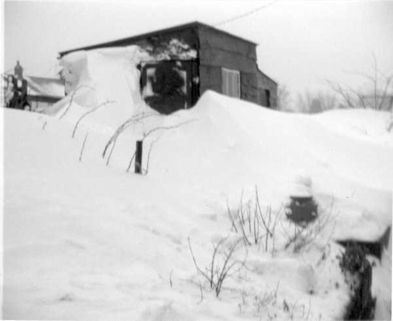 Snow in February 1978; 5-779 | eHive