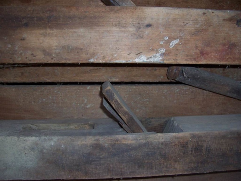 Fore plane; TL0025g | eHive