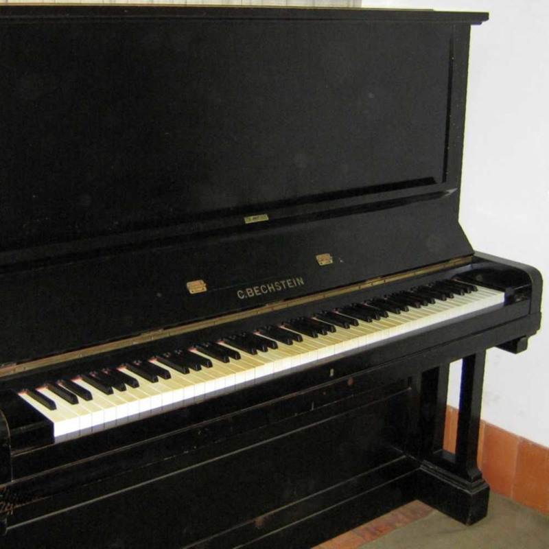 Bechstein, Carl; ca. 1925; CIM-006 | eHive