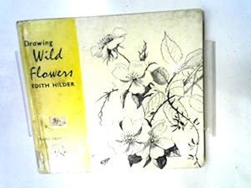 Wild Flowers.; Hilder, Edith; 713 | eHive
