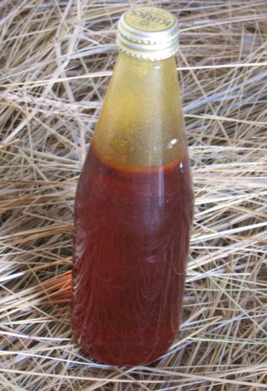 Bottle of Mutton-bird Oil; 1950s; FHR_00482 | eHive