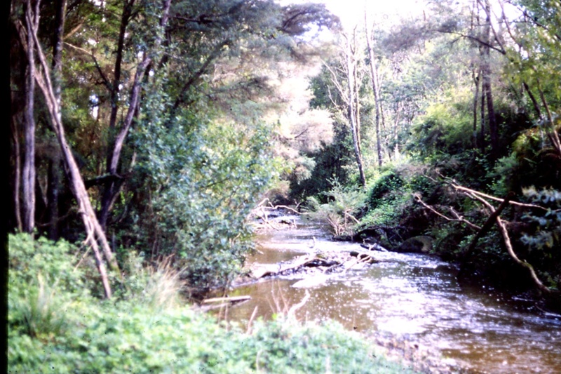 Middle Arm Creek; Miedecke, John; October 1980; BMHC_13438 | eHive