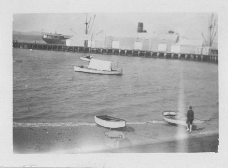 Beauty Point wharf from the shore; unknown; c.1955; BMHC_11021 | eHive