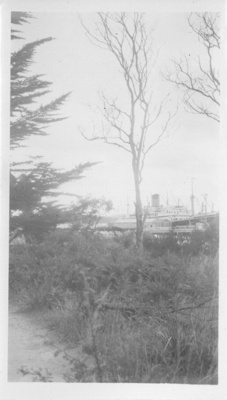 Beauty Point wharf; unknown; n.d.; BMHC_13364 | eHive