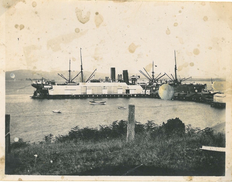 Beauty Point, Tasmania; unknown; c. 1928; BMHC_12491 | eHive