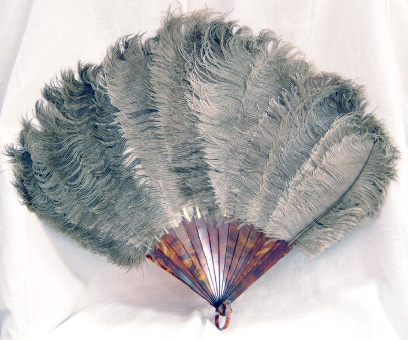 Hand fan, grey feather/tortoiseshell; c. 1890; 97.50 | eHive